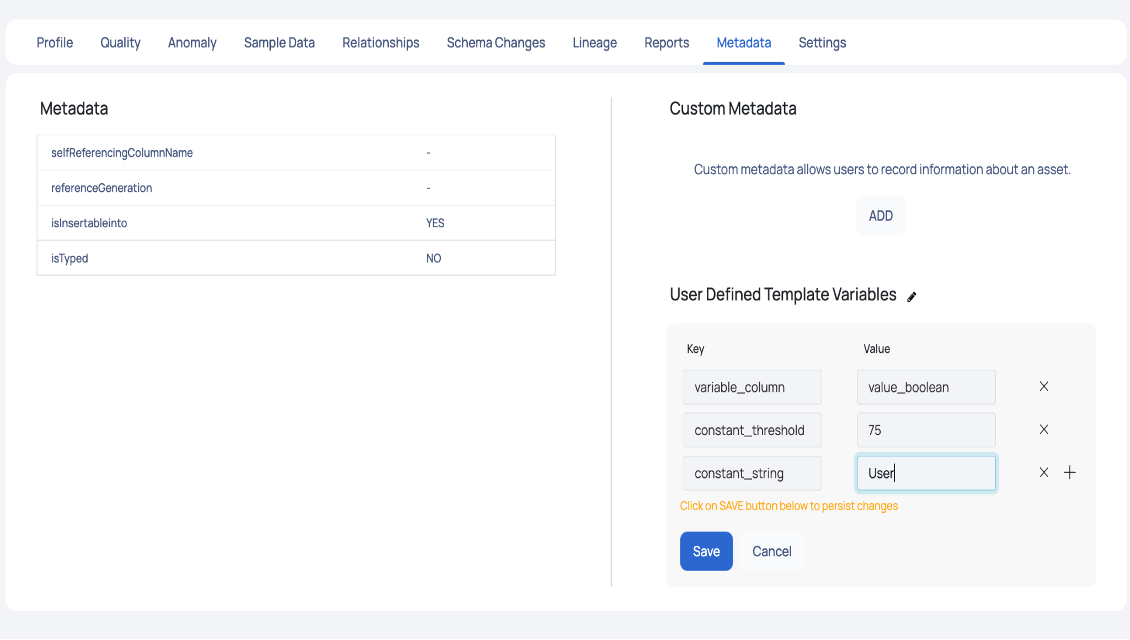 Asset Details Metadata Tab - Torch