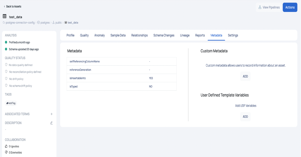 Asset Details Metadata Tab - Torch